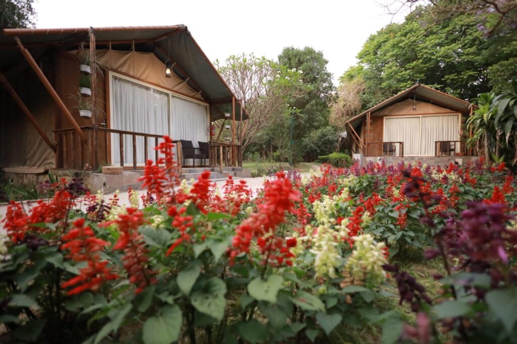 Botanix Nature Resort- The Perfect Haven for Relaxation - Travelogy ...